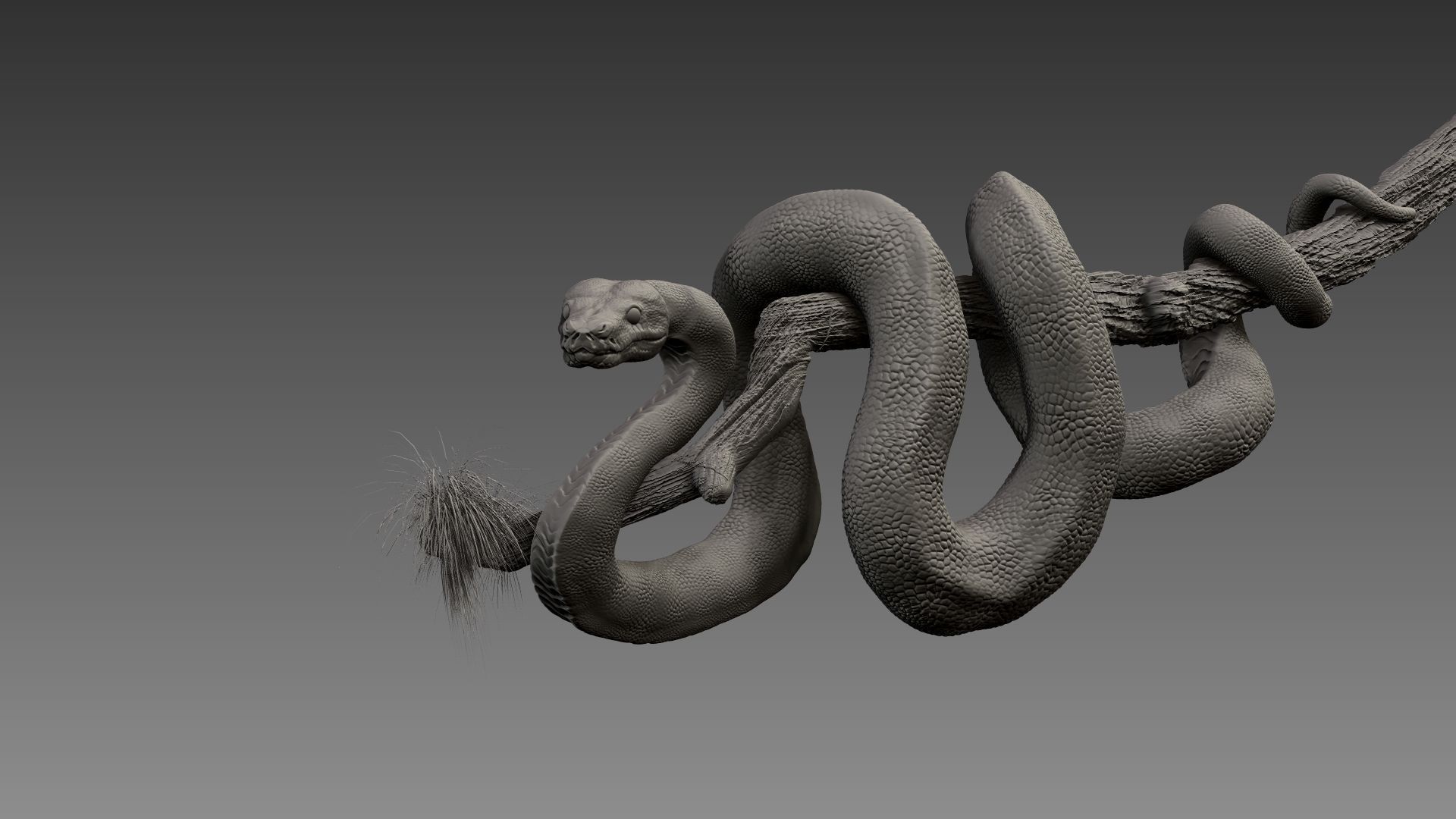 Anakonda Snake High Poly 3D model | CGTrader