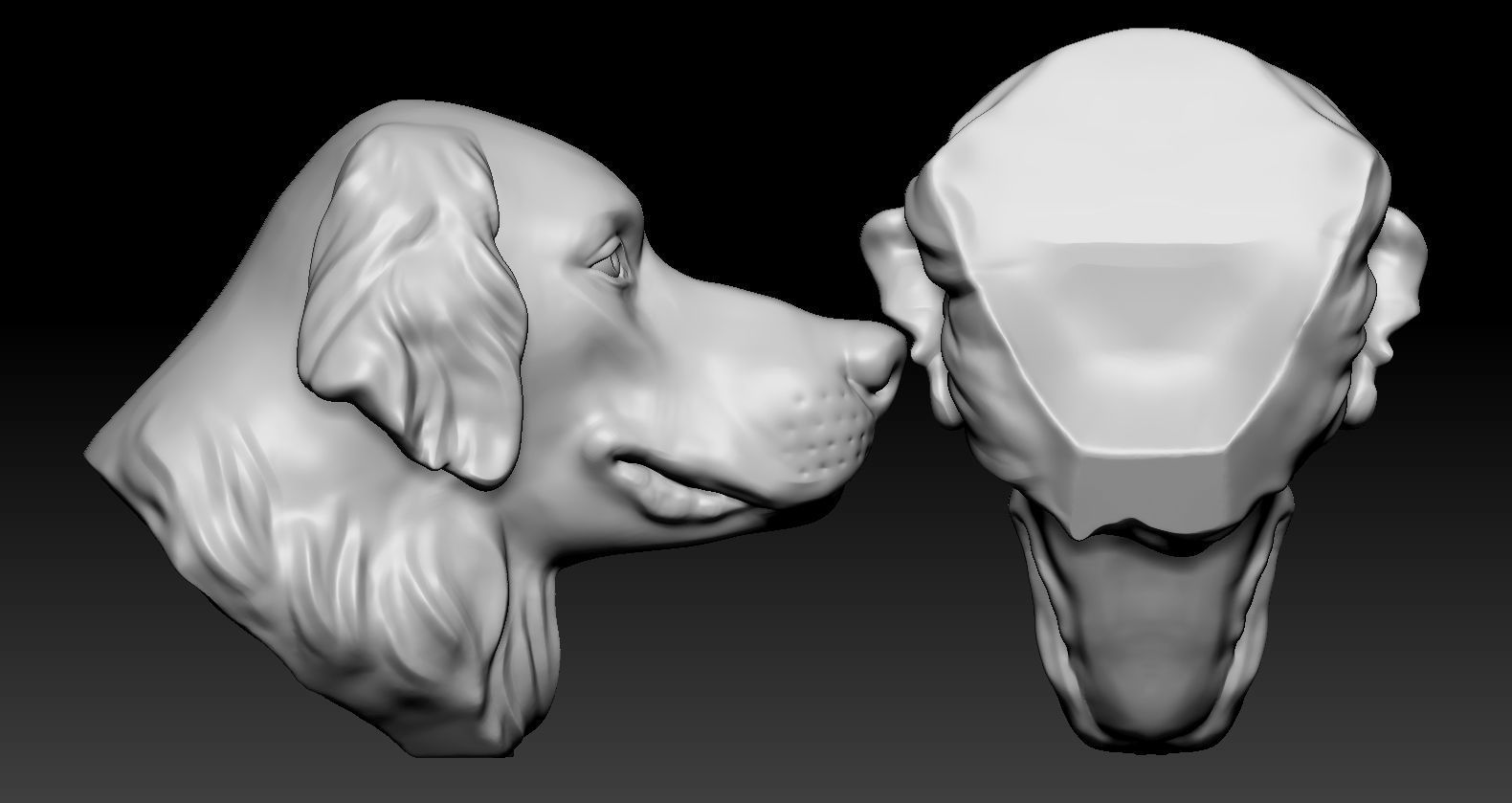 Golden retriever Head 3D model 3D printable | CGTrader
