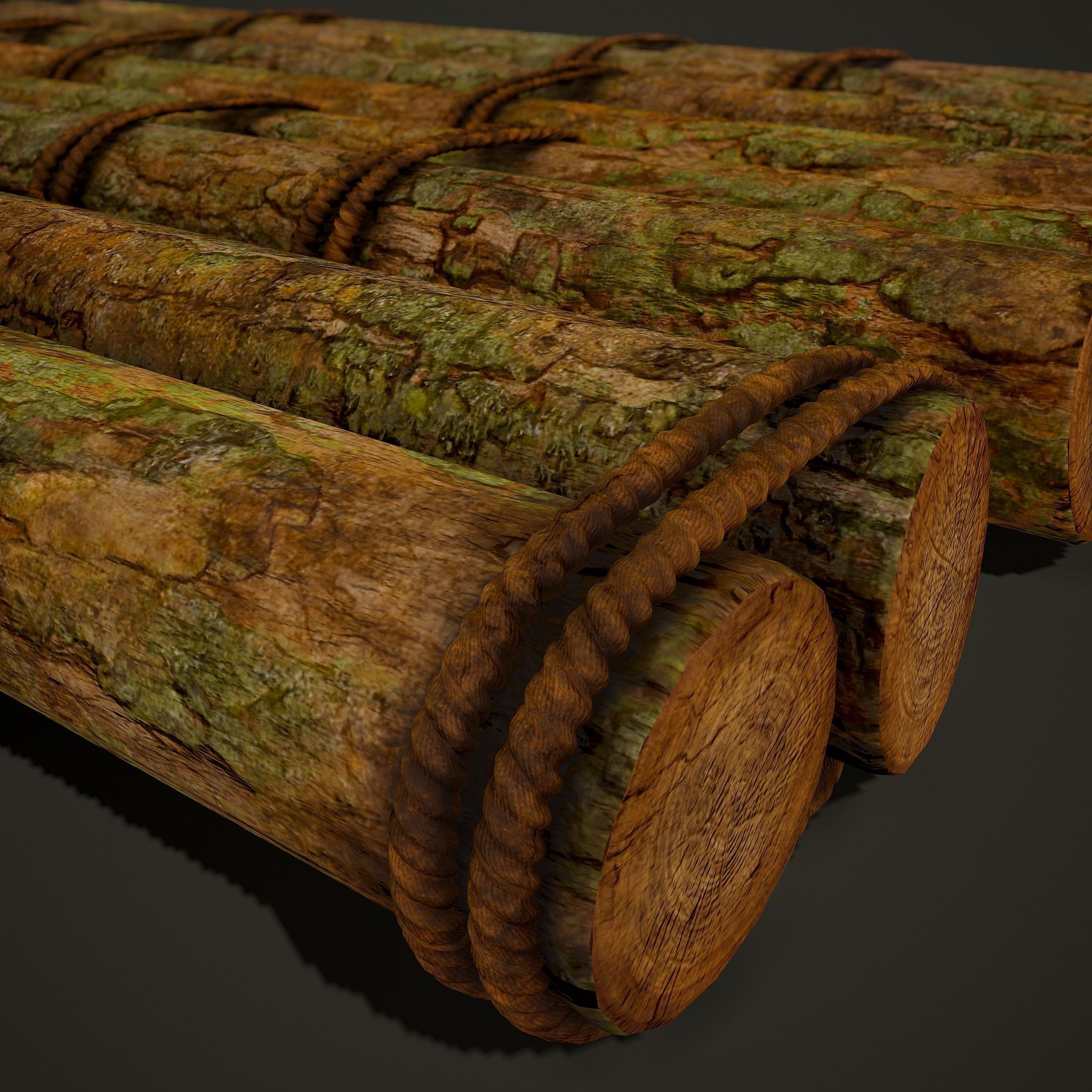 Tied Logs with Rope 3D model | CGTrader