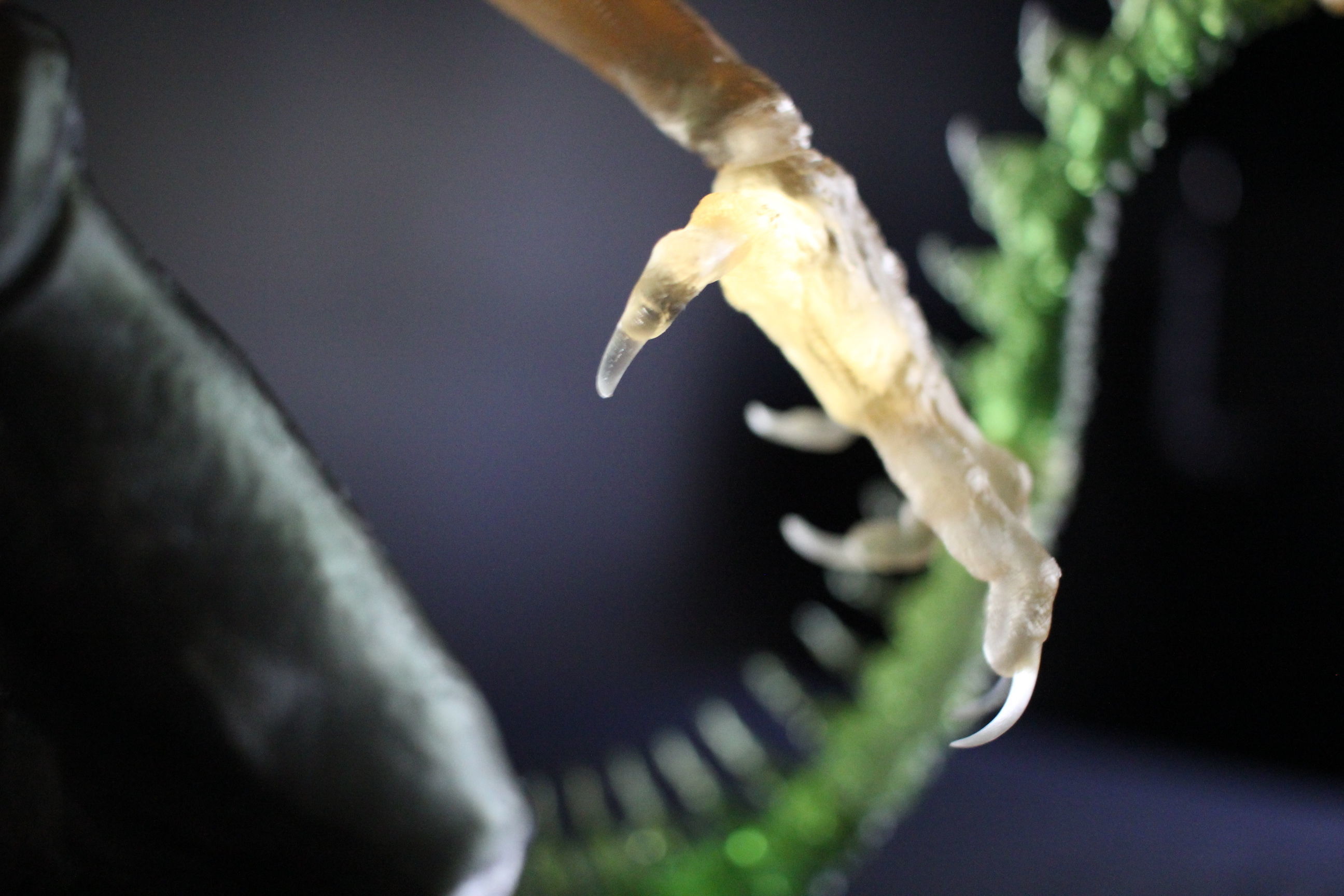 Alien Xenomorph 3D Print On Toxic Chamber Diorama 3D model 3D printable ...