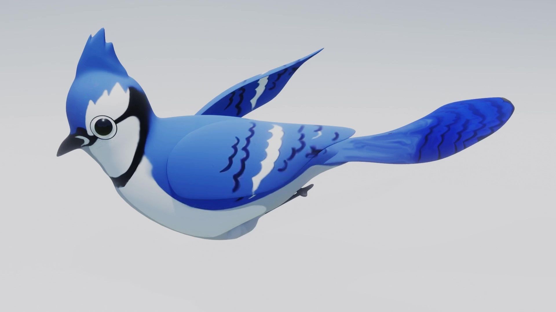 3D model Blue Jay 3D VR / AR / low-poly | CGTrader