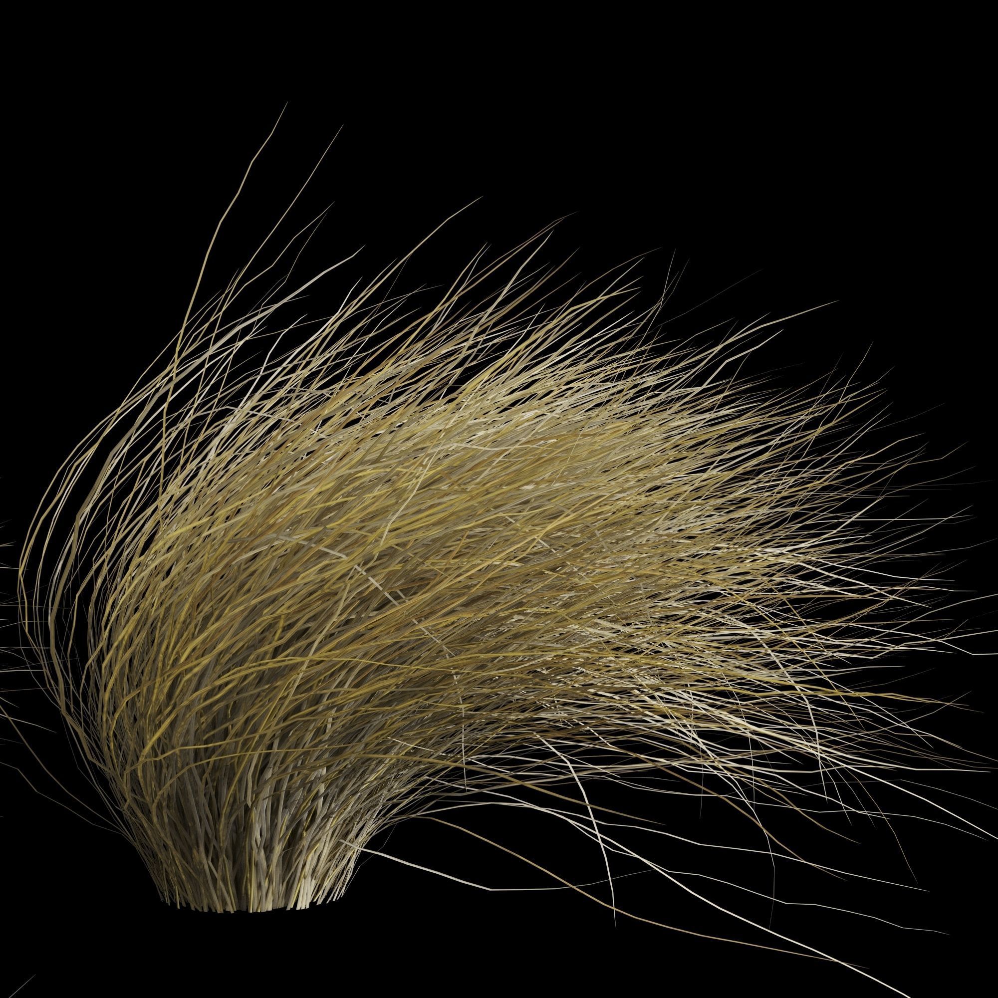 Wild Dry Grass Bent By The Wind 3D model | CGTrader