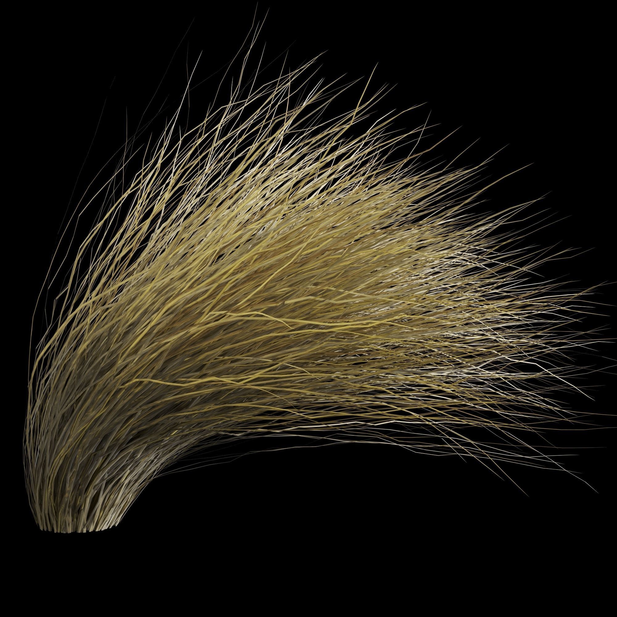 Wild Dry Grass Bent By The Wind 3D model | CGTrader