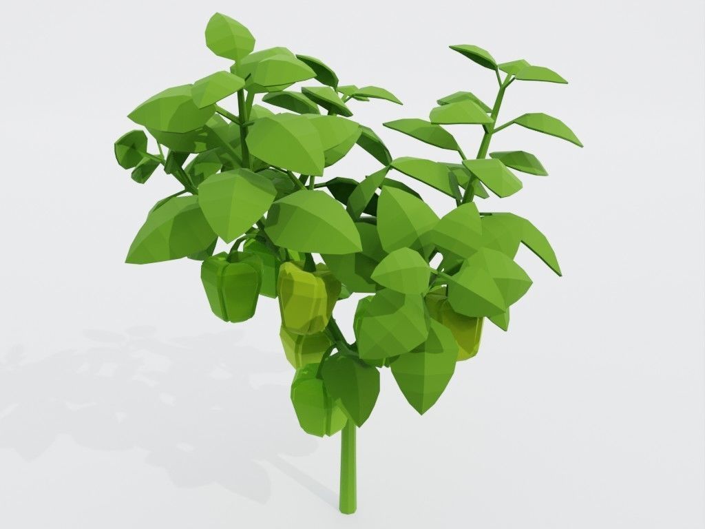 3D model Low poly bell pepper VR / AR / low-poly | CGTrader