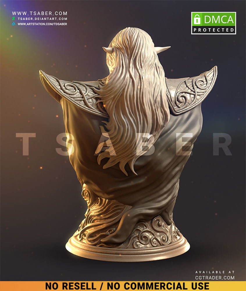 Deedlit Bust - Anime Elf Bust 3D model 3D printable | CGTrader