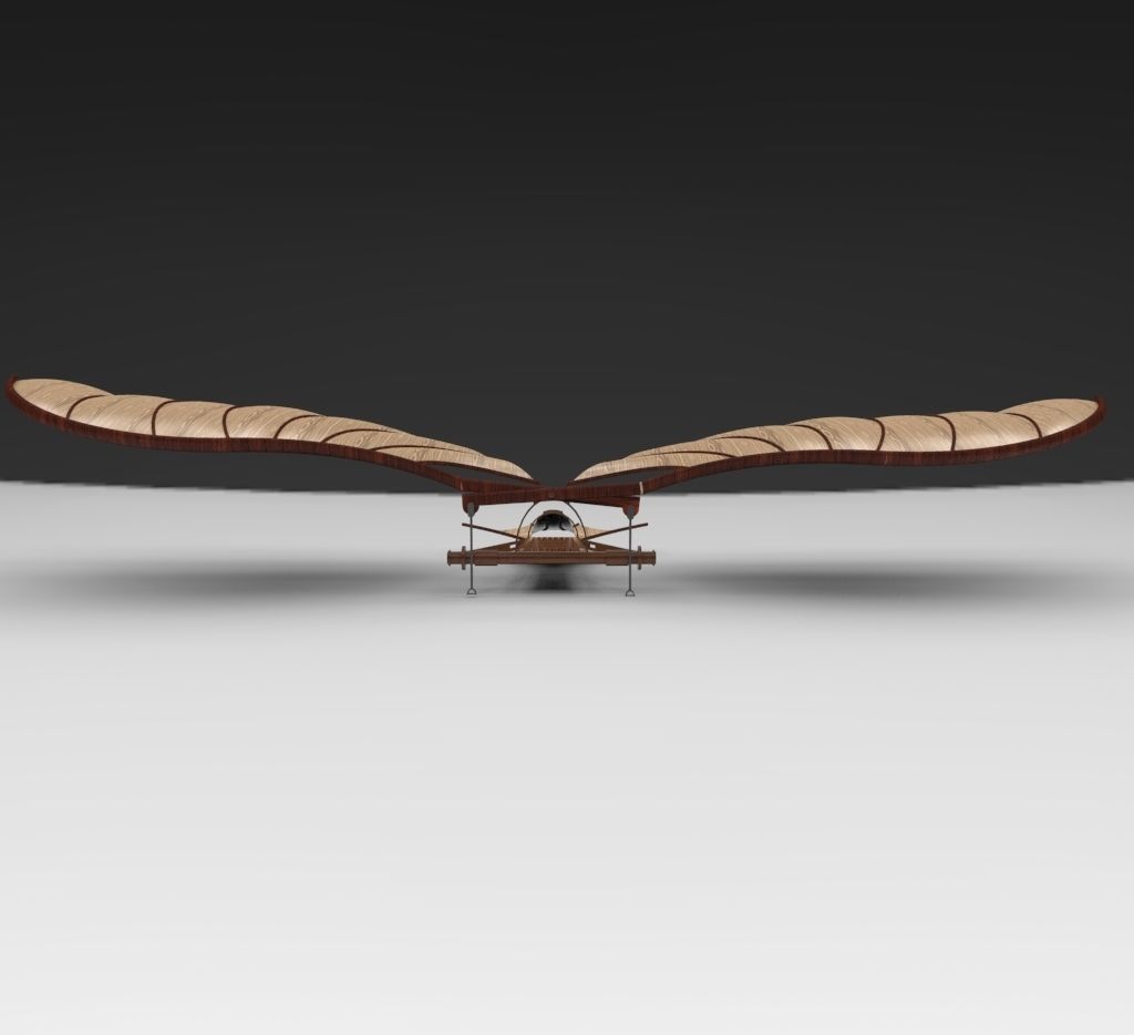 Leonardo Da Vinci Ornithopter 3D model 3D printable | CGTrader