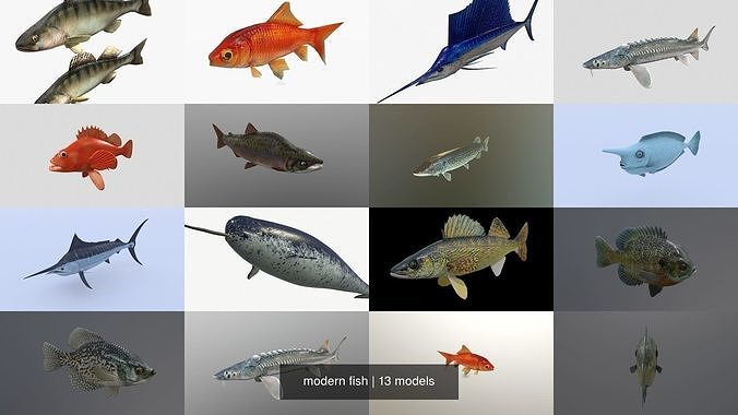 modern fish 3D Model Collection | CGTrader