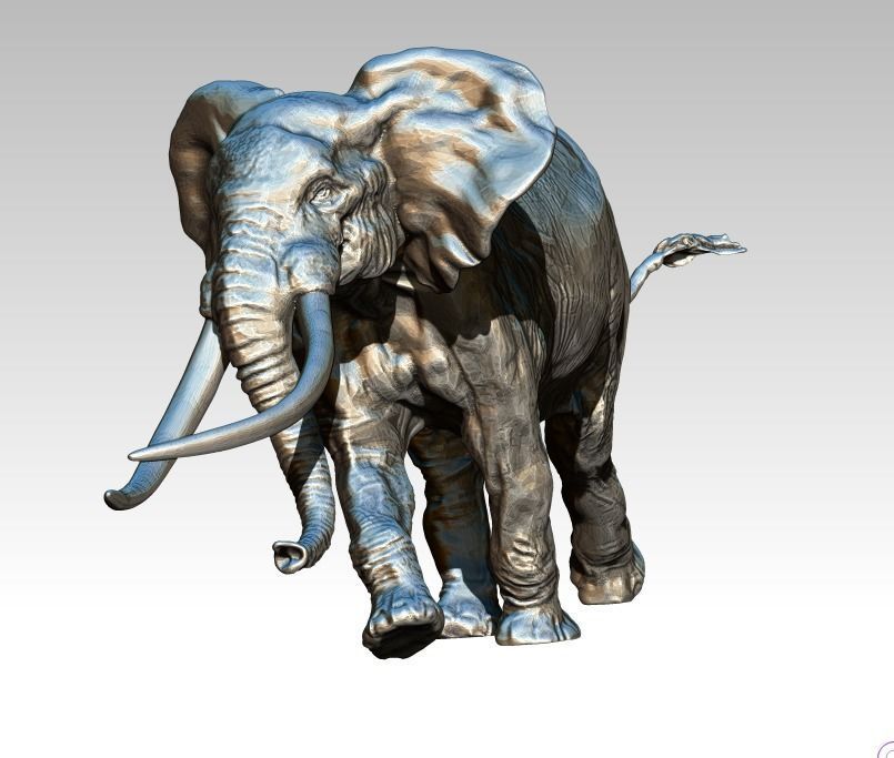 Elephant nature 3D print model | CGTrader