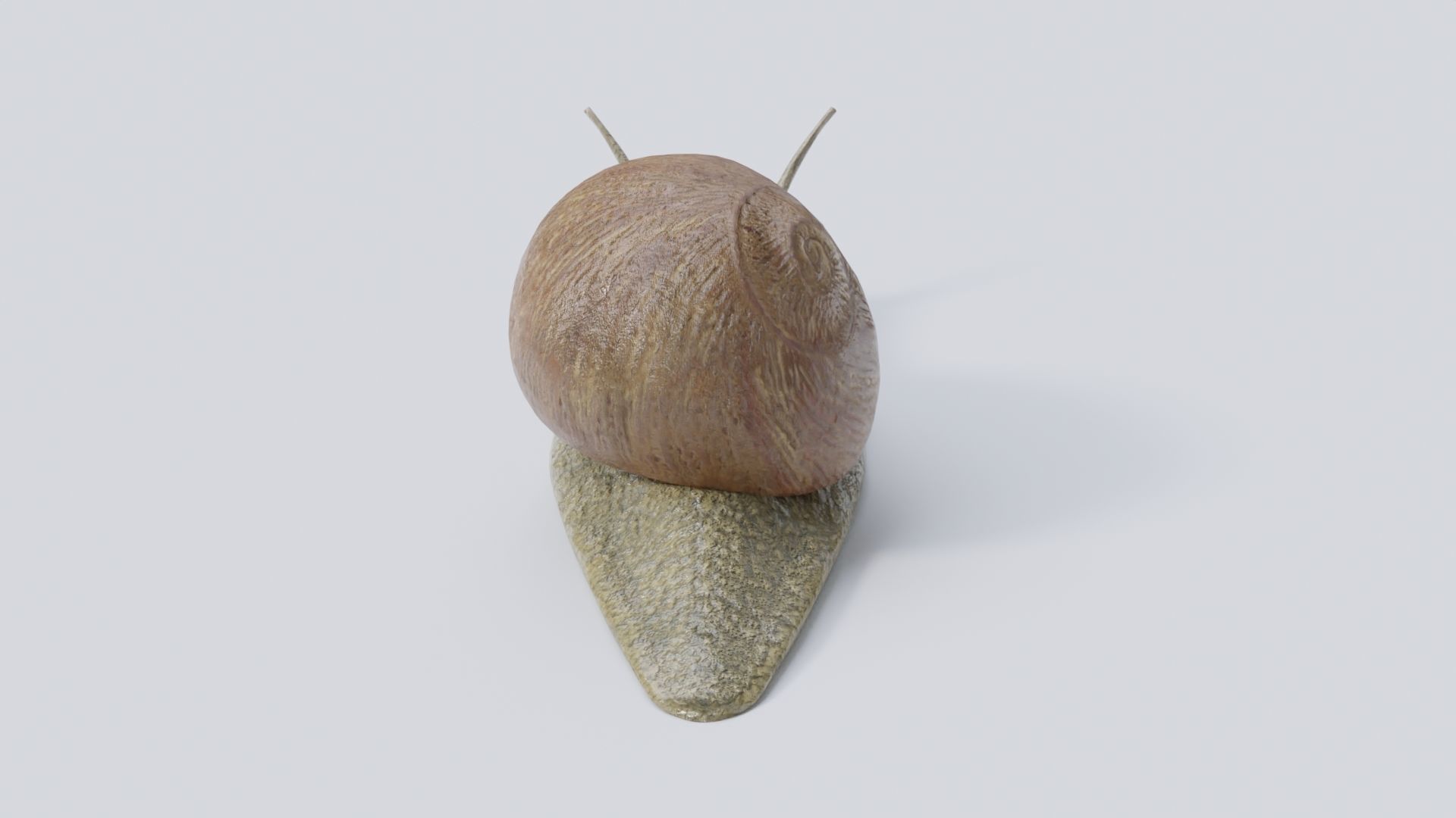 3D model Low poly snail model with PBR materials VR / AR / low-poly ...