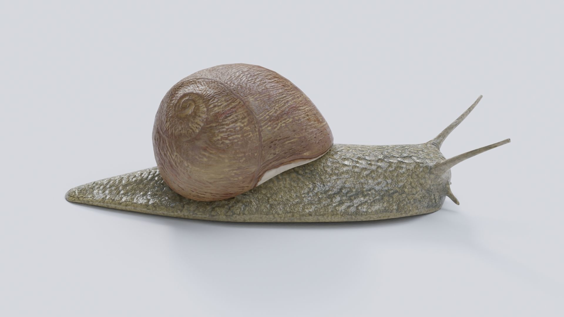 3D model Low poly snail model with PBR materials VR / AR / low-poly ...