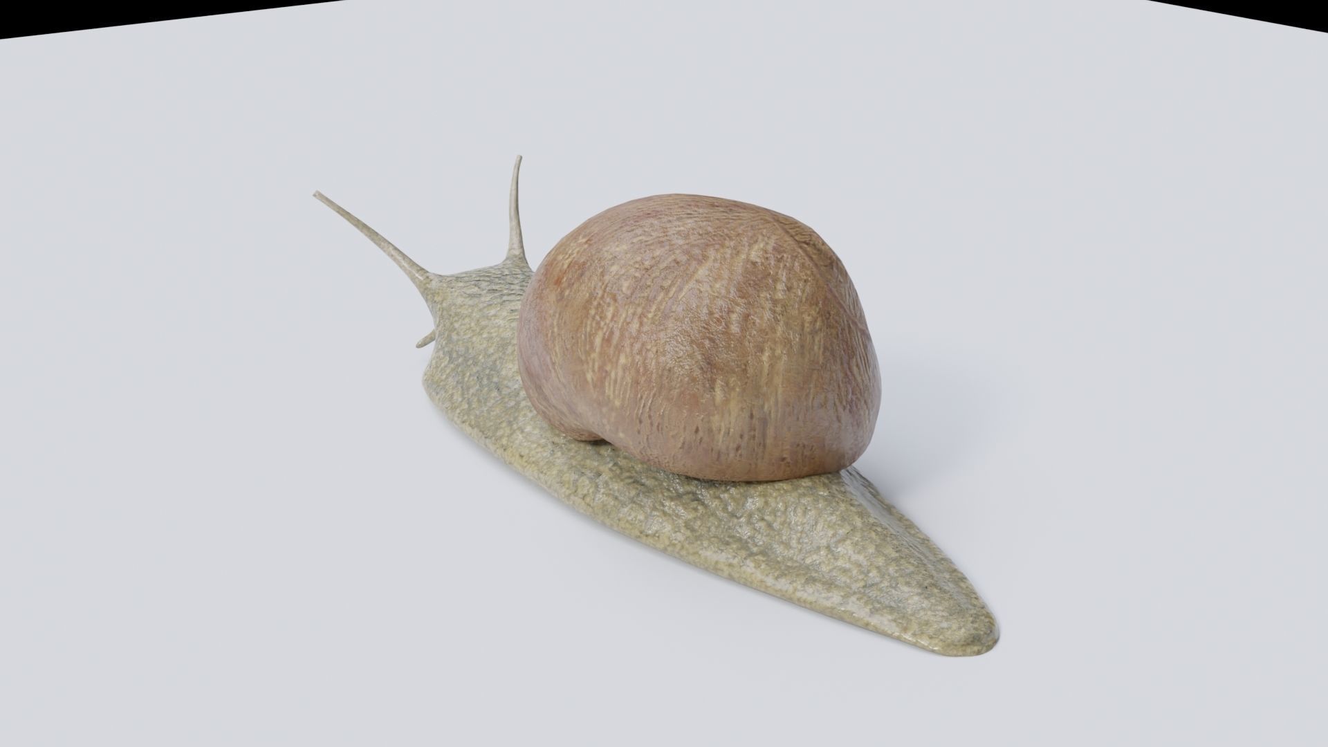 3D model Low poly snail model with PBR materials VR / AR / low-poly ...