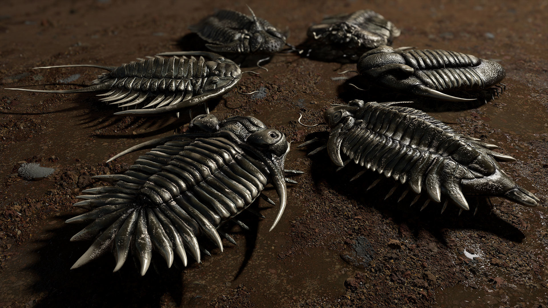 Trilobites 3D | CGTrader