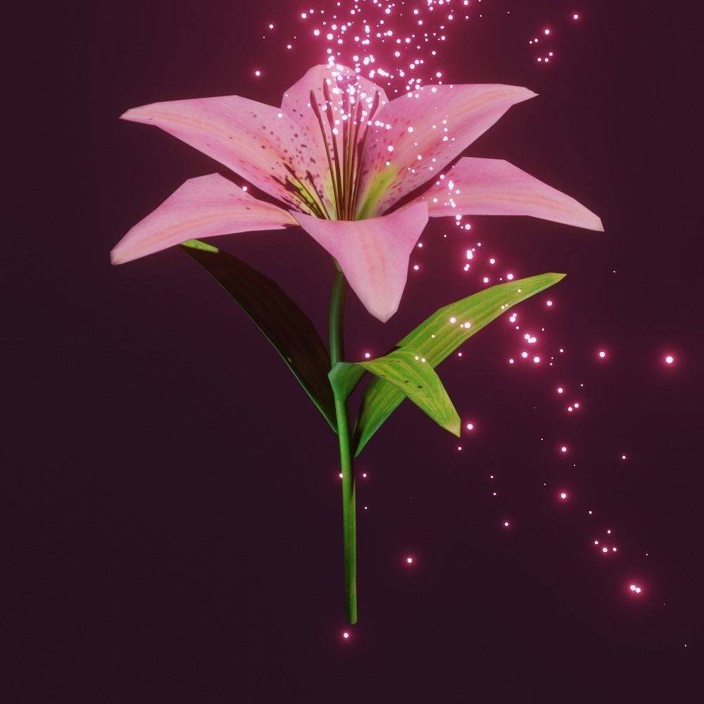 Lily flower 3D model | CGTrader