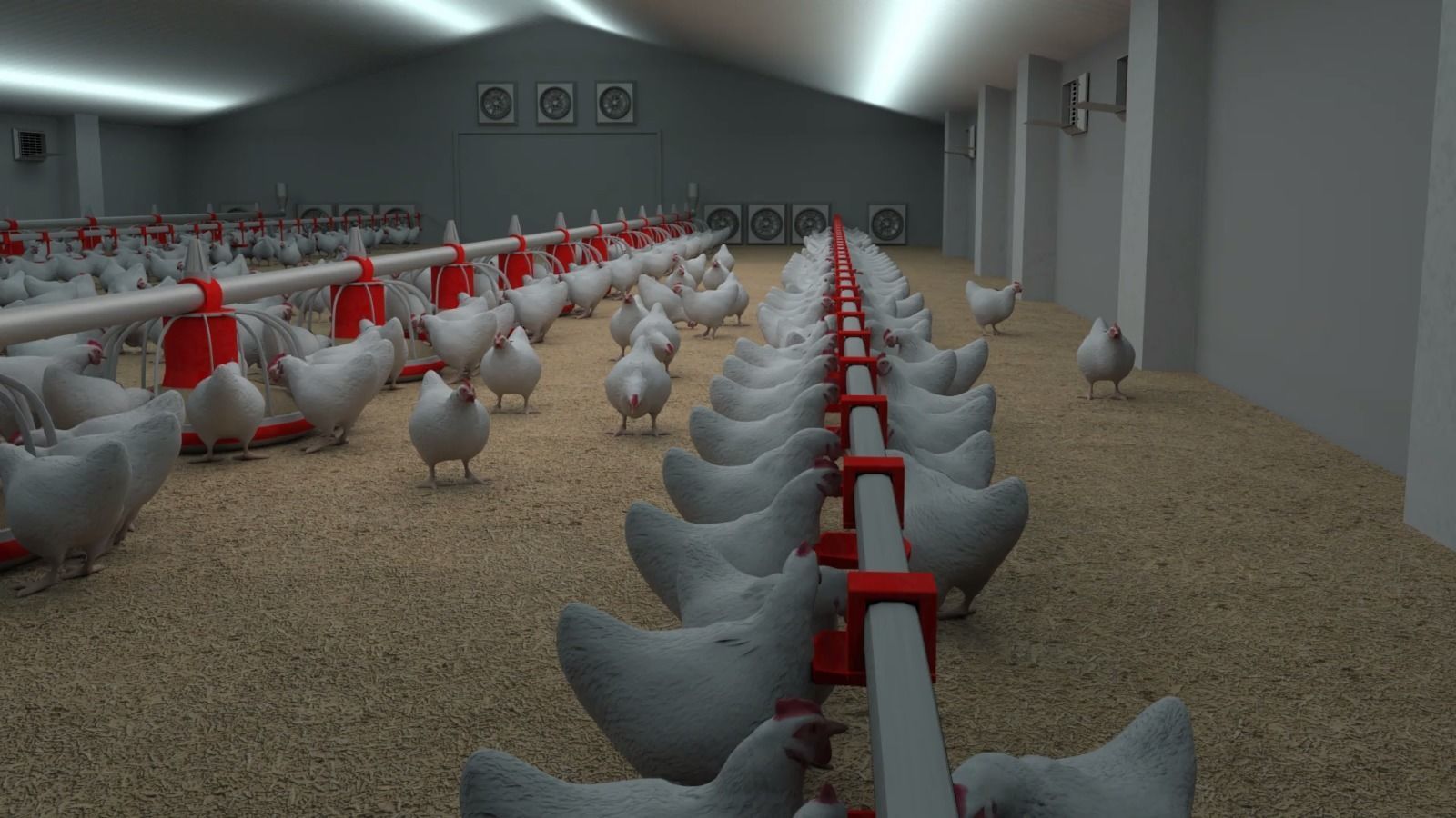 Poultry farm with rigged and animated chickens 3D model animated rigged ...