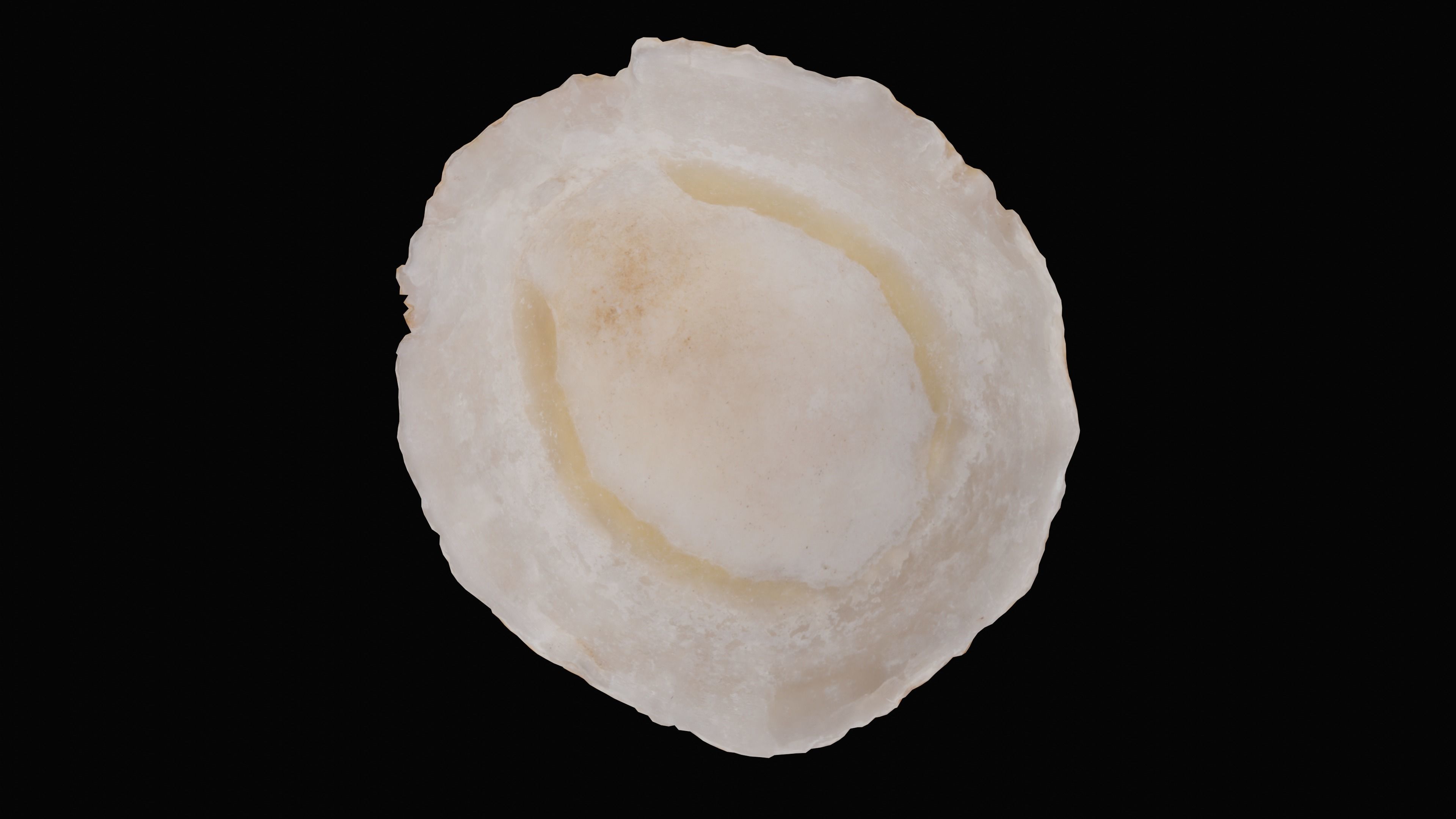 3D model Limpet sea shell VR / AR / low-poly | CGTrader