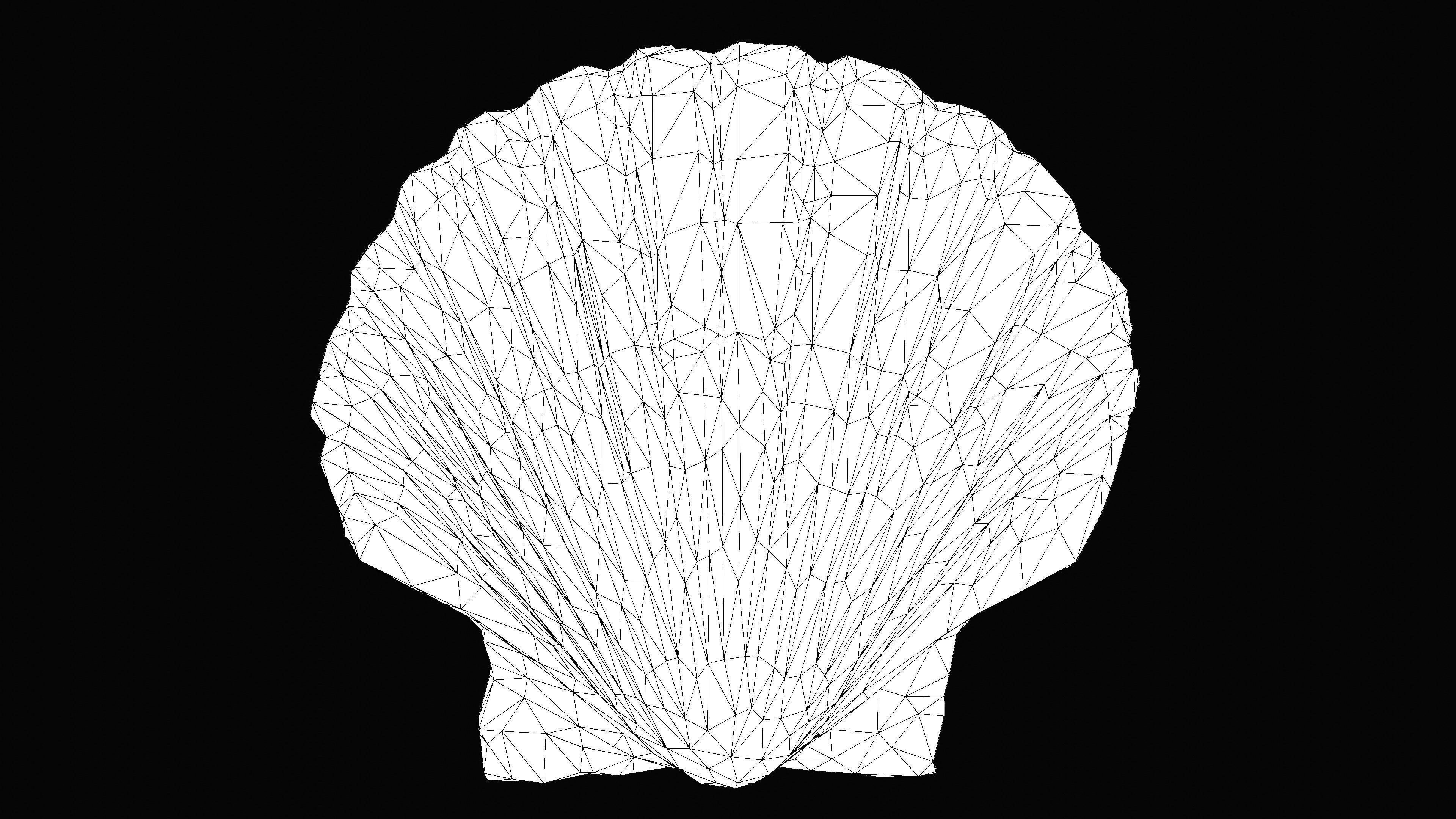 3D model Scallop sea shell VR / AR / low-poly | CGTrader