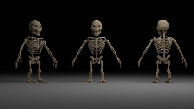 3D model Mini Skeleton VR / AR / low-poly | CGTrader