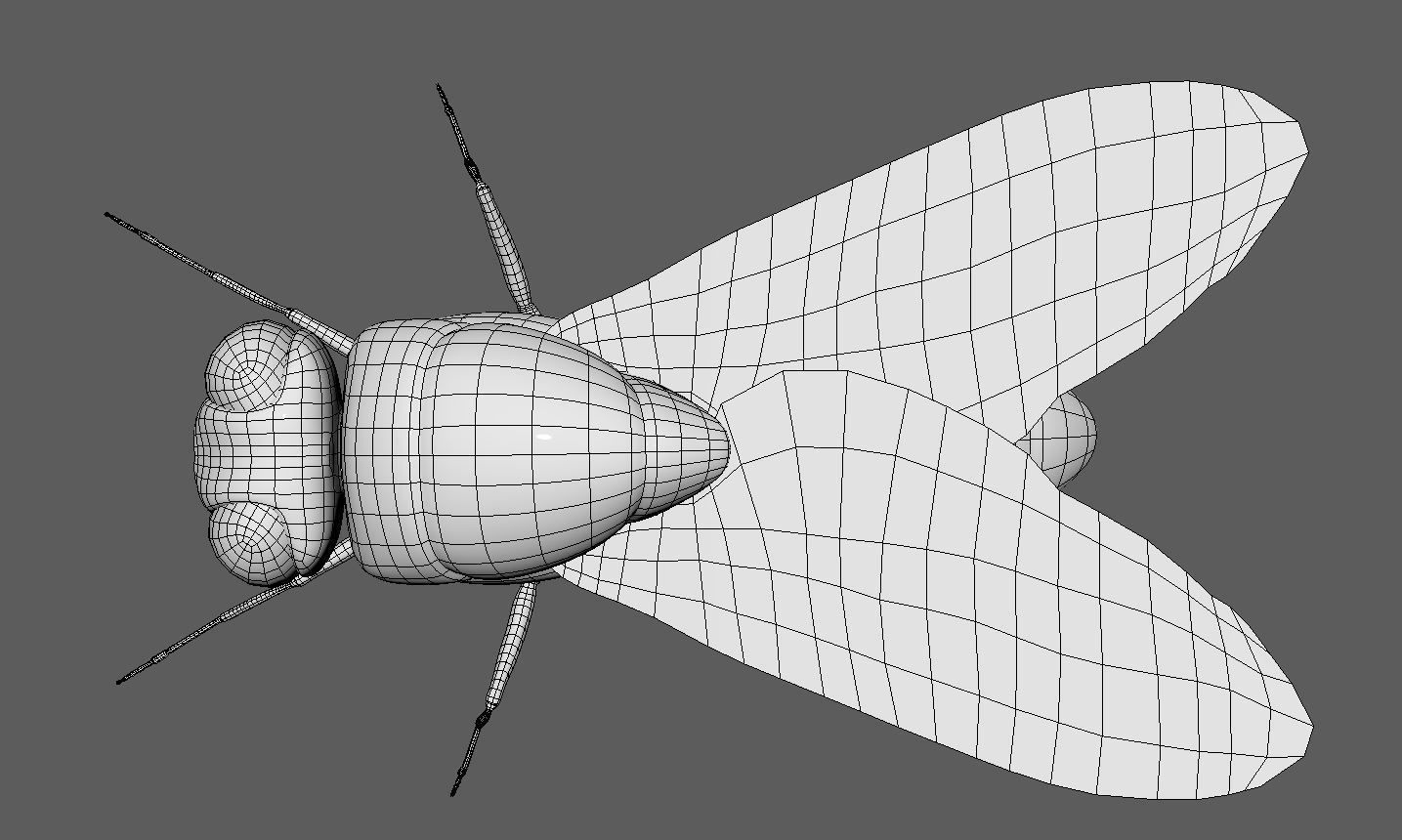 3D model Housefly lowpoly 3d model and 3d print model VR / AR / low ...