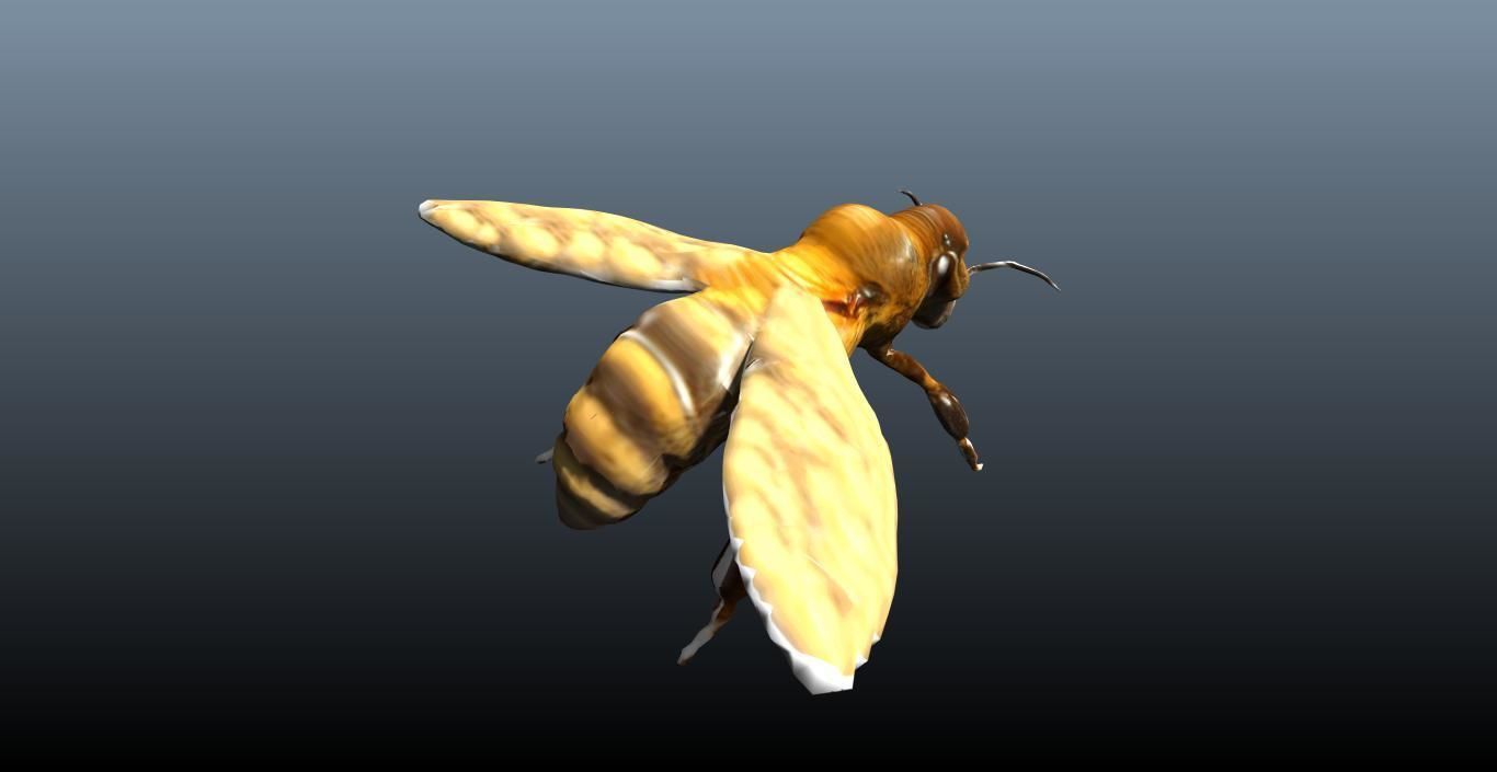 3D model honey bee lowpoly VR / AR / low-poly | CGTrader