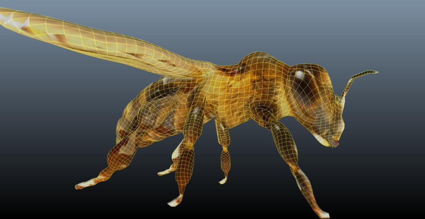 3D model honey bee lowpoly VR / AR / low-poly | CGTrader