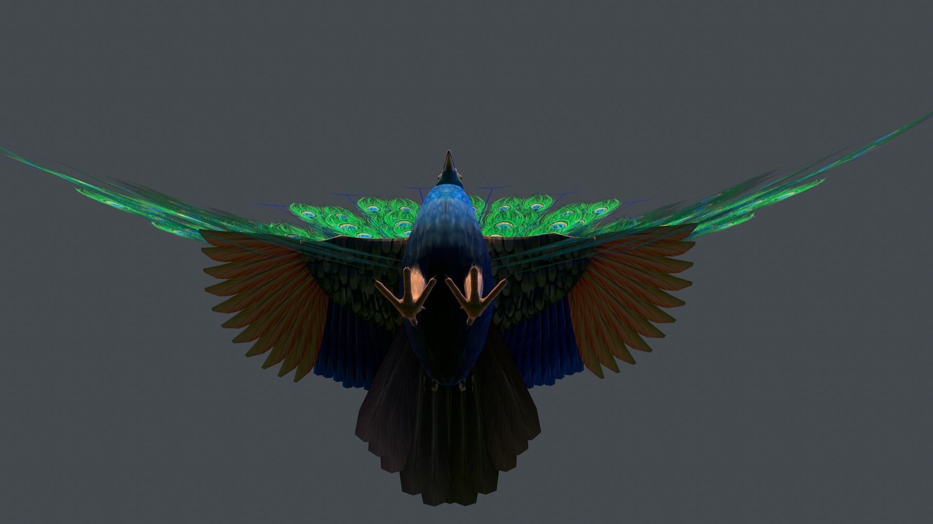 3D model Peacock bird VR / AR / low-poly | CGTrader