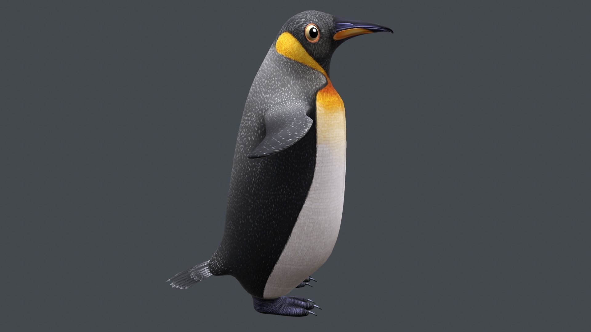 3D model Penguin VR / AR / low-poly | CGTrader