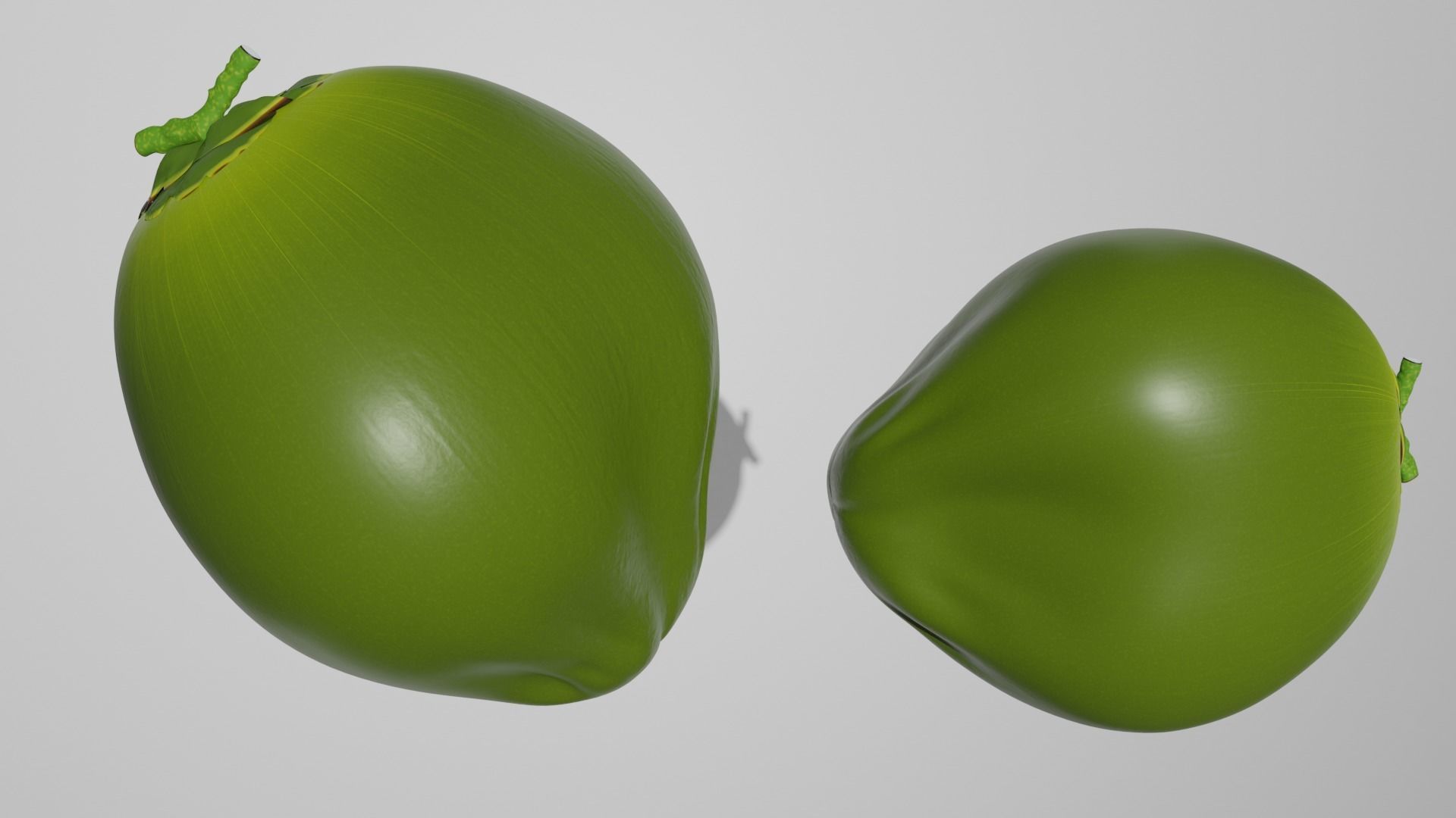 Fresh Coconut 3D model | CGTrader