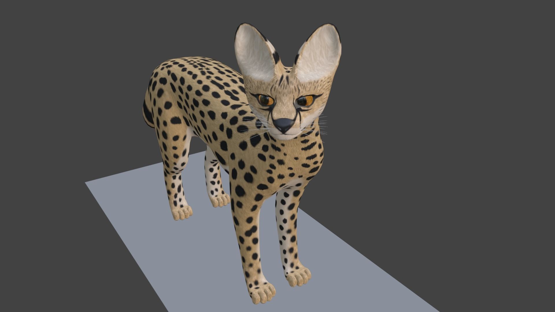 Serval Cat Game Ready Model Unreal Engine 3D model animated rigged ...