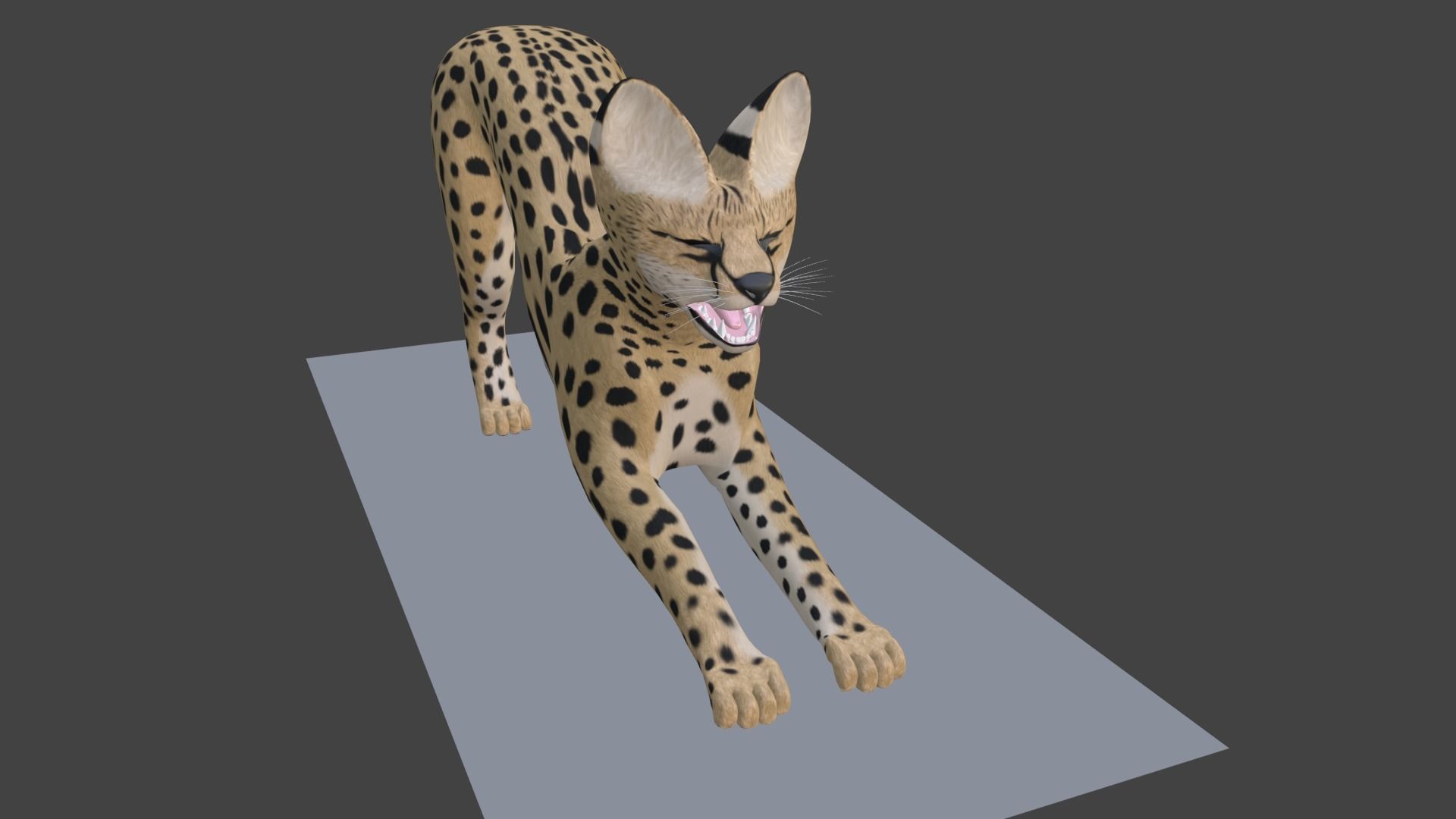 Serval Cat Game Ready Model Unreal Engine 3D model animated rigged ...