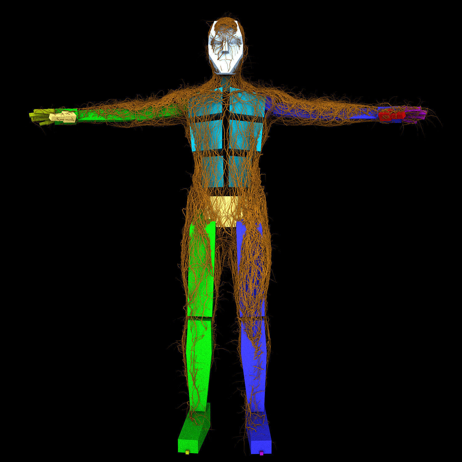 Rigged Ivy Human 3D model rigged | CGTrader