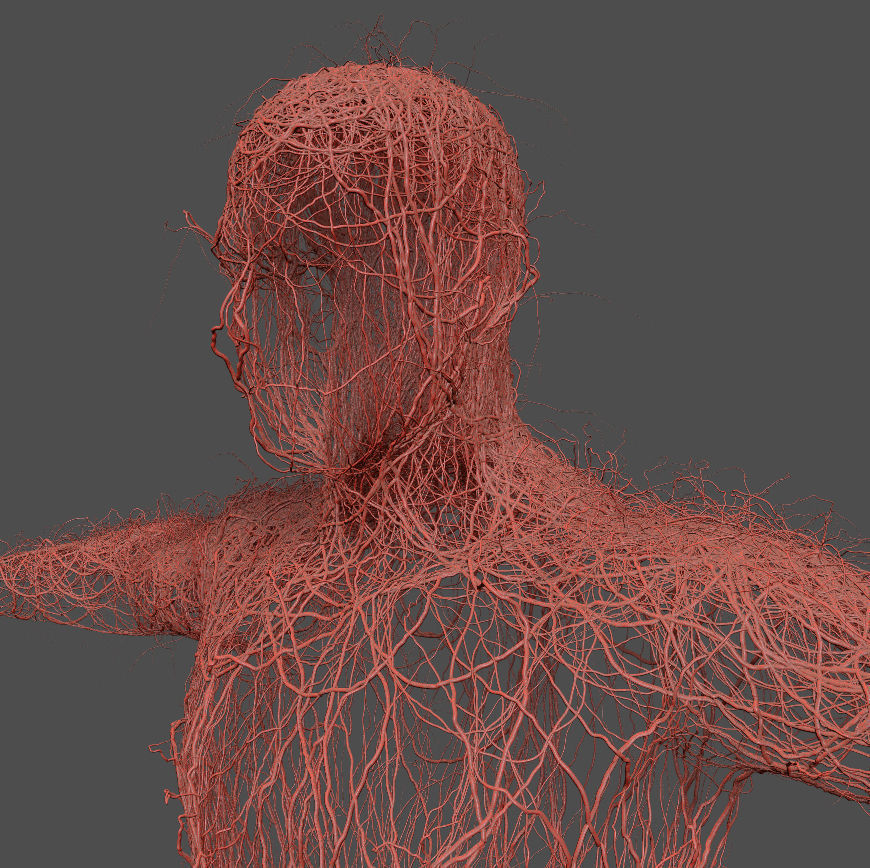 Rigged Ivy Human 3D model rigged | CGTrader