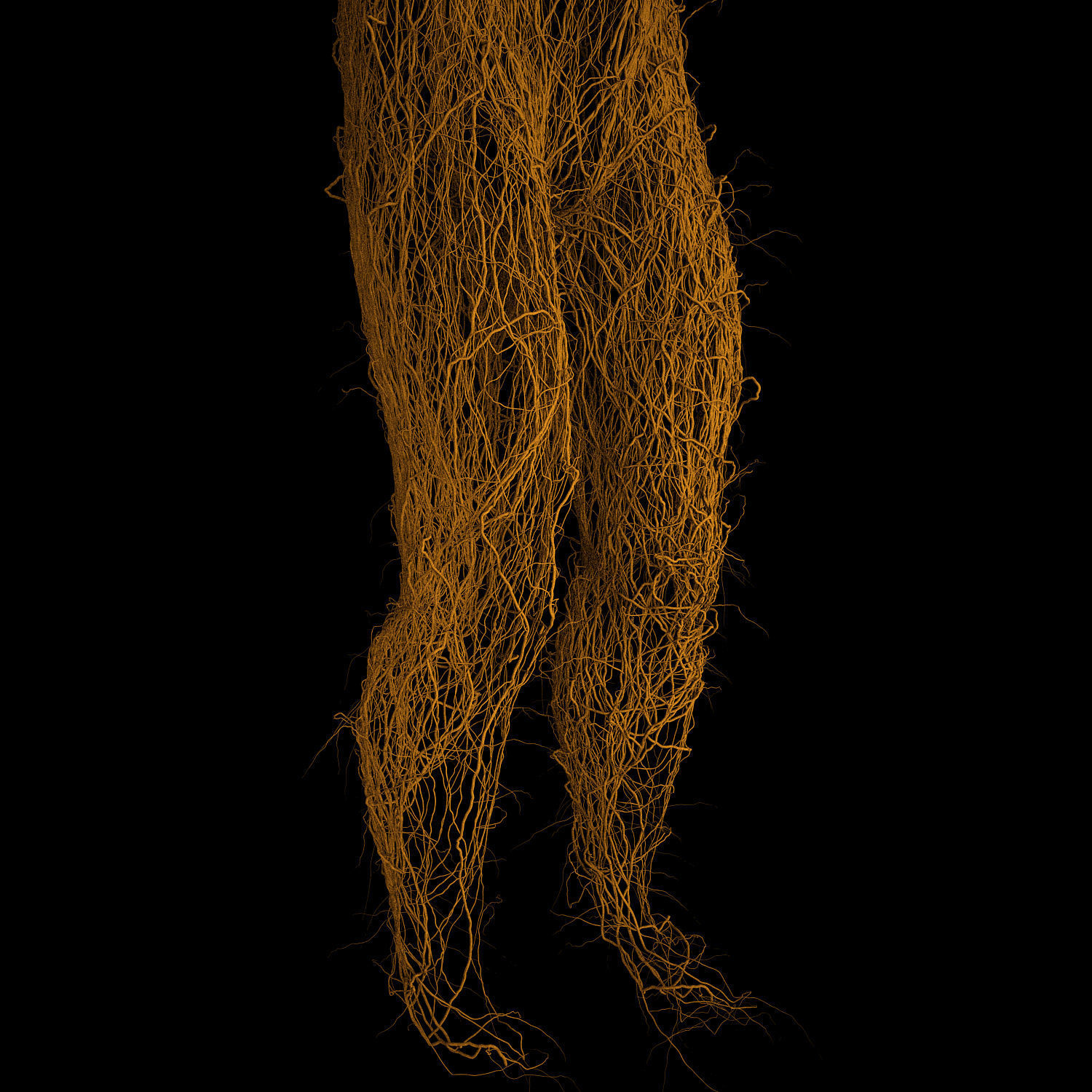 Rigged Ivy Human 3D model rigged | CGTrader