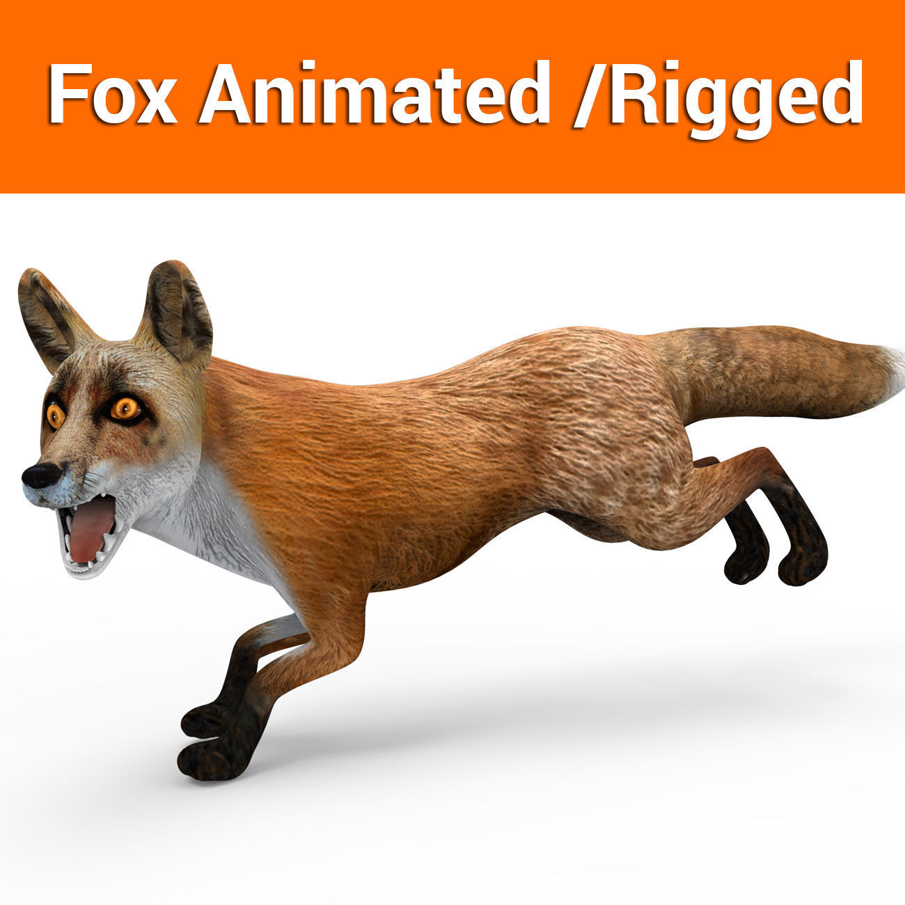 3D model 3D Fox Rigged Animated model VR / AR / low-poly rigged ...