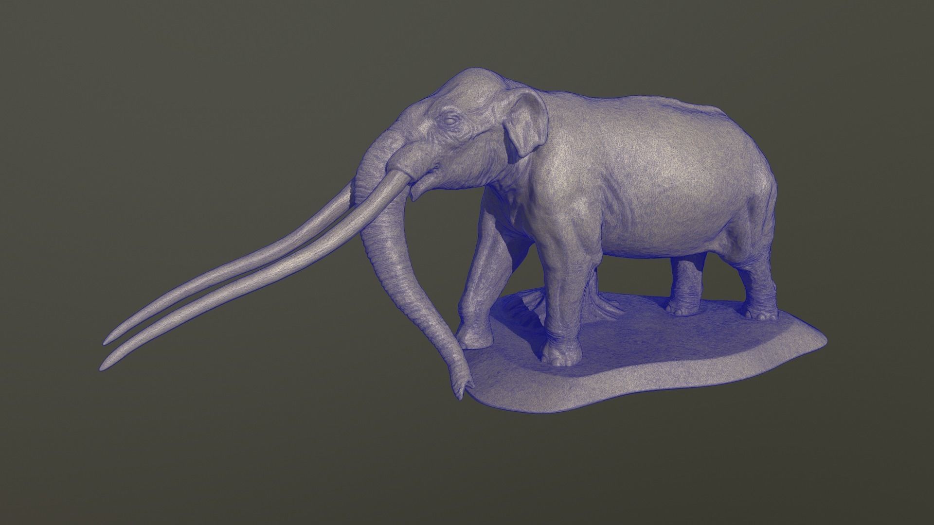 Anancus arvernensis 3D model 3D printable | CGTrader