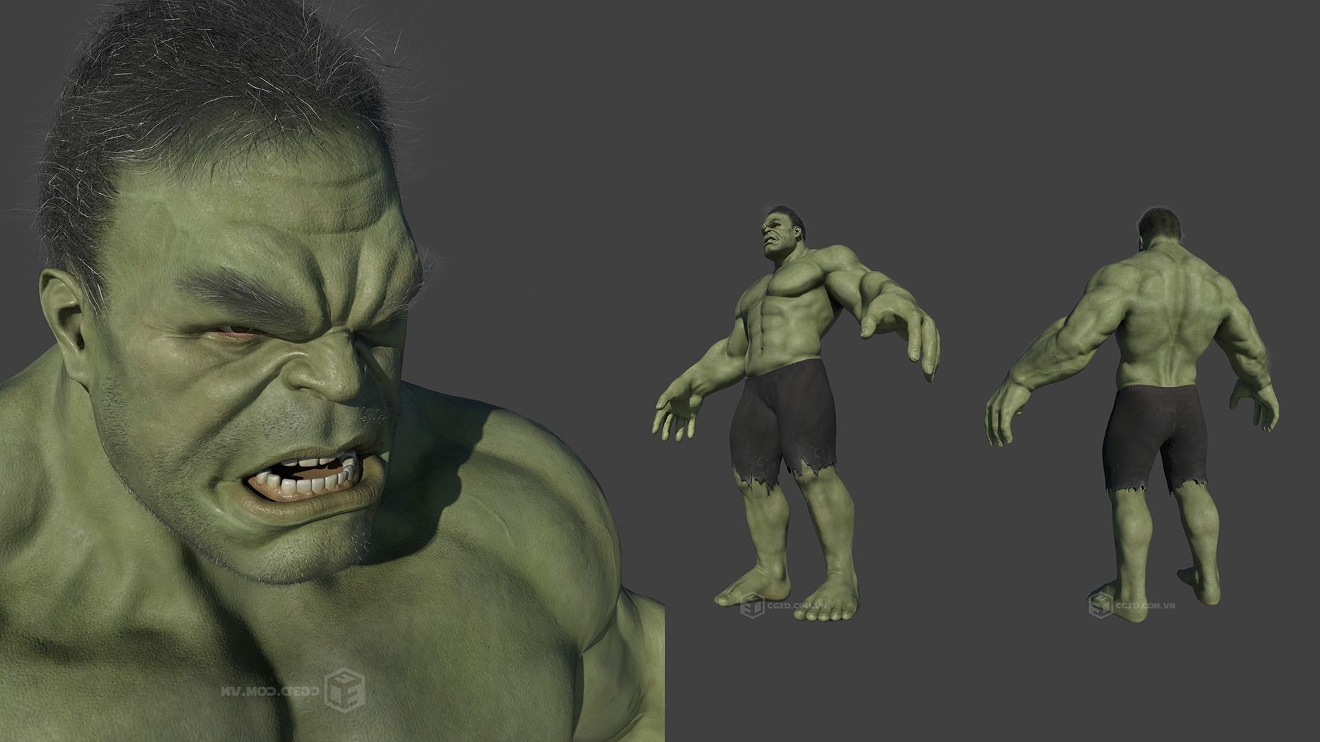 Hulk Model- Highpoly 3D model | CGTrader
