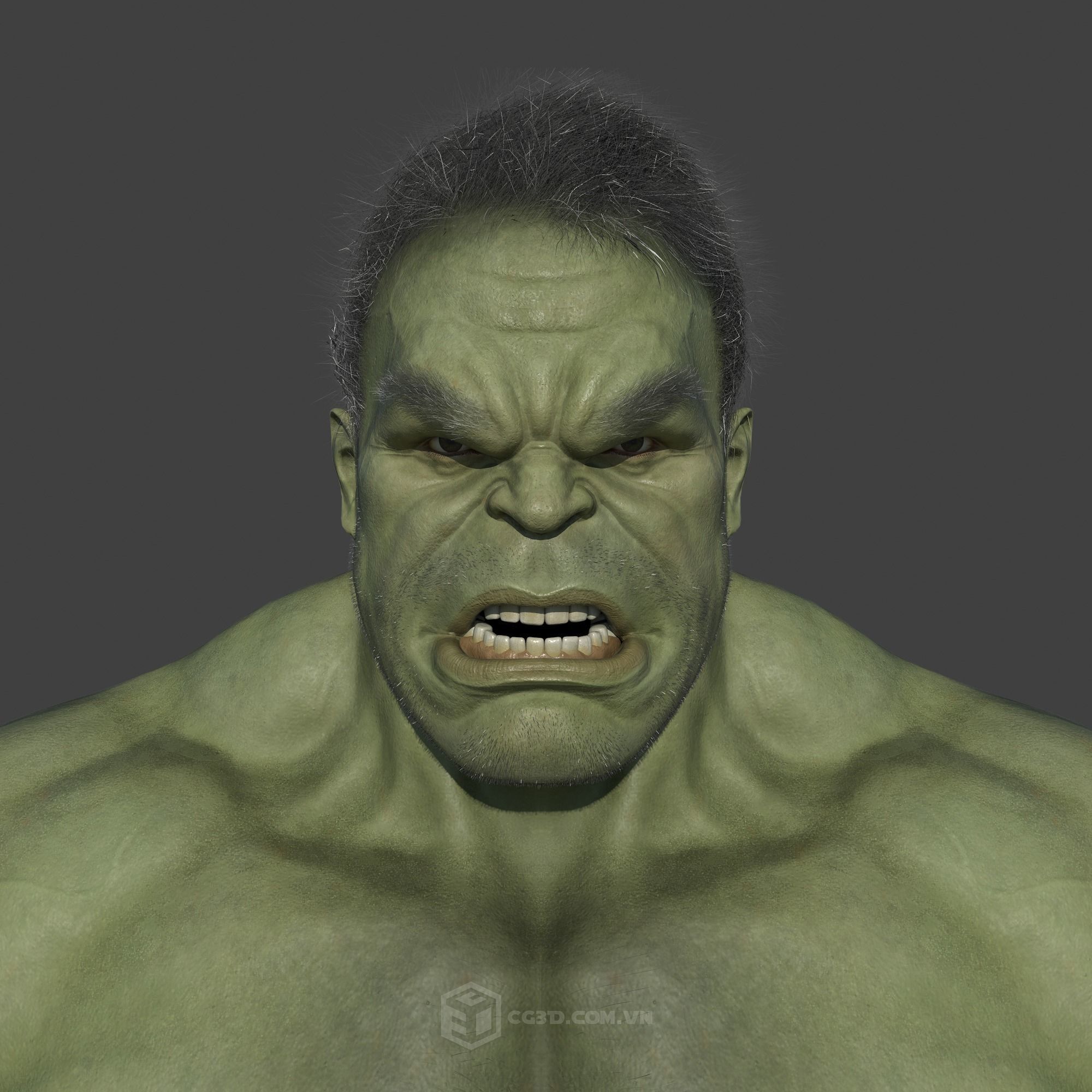 Hulk Model- Highpoly 3D model | CGTrader
