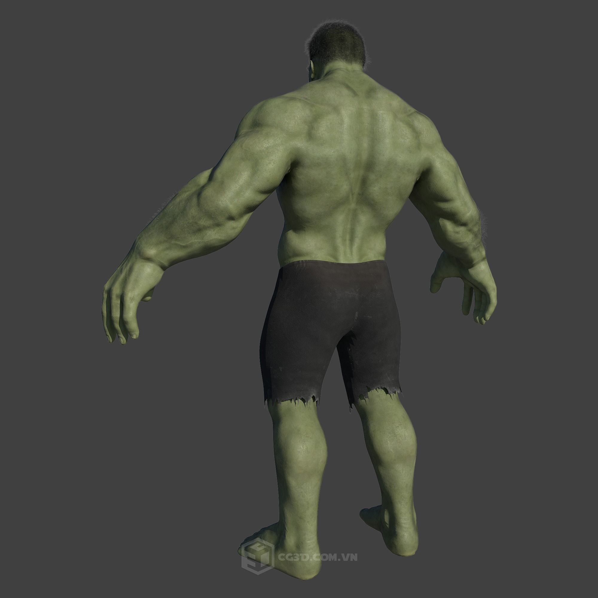Hulk Model- Highpoly 3D model | CGTrader
