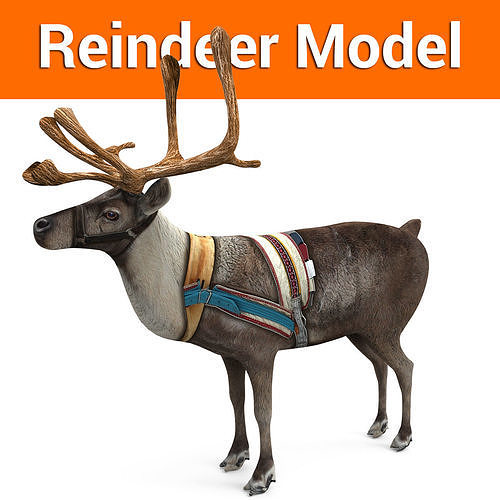3D model Reindeer model Game ready low poly 3D VR / AR / low-poly ...