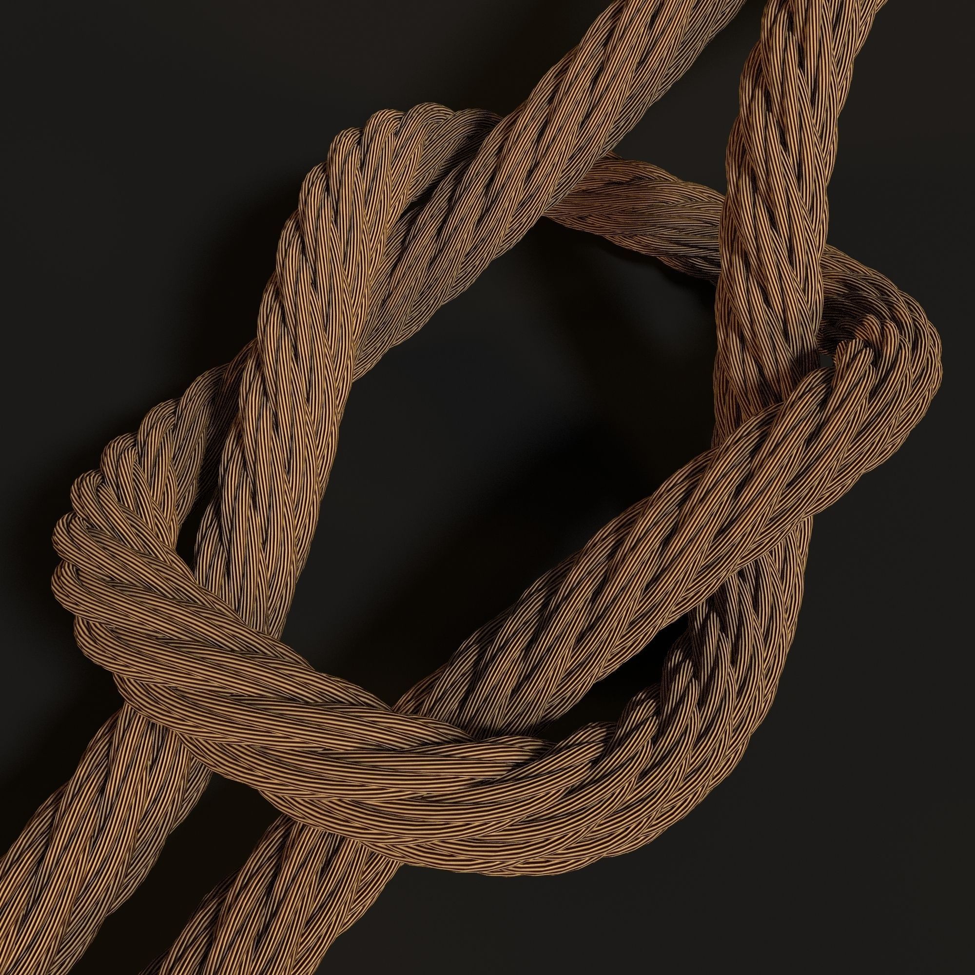 Knot Rope free 3D model | CGTrader