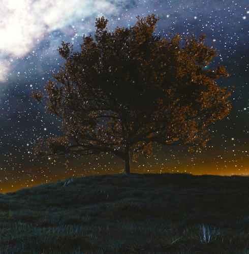 Tree at night free 3D model | CGTrader