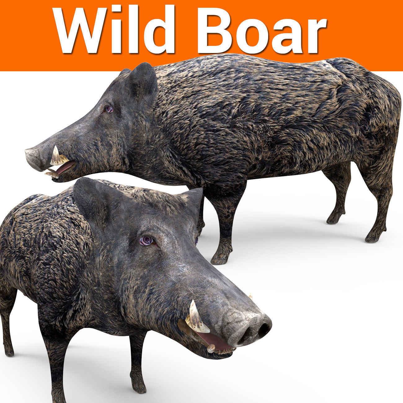 low-poly 3D game ready Wild Boar | CGTrader