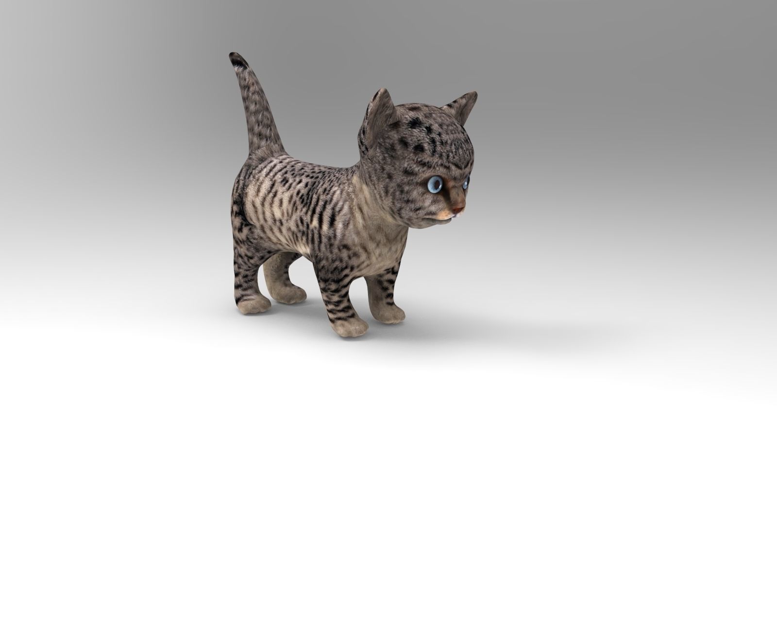 3D model 3D wild cat low poly VR / AR / low-poly | CGTrader
