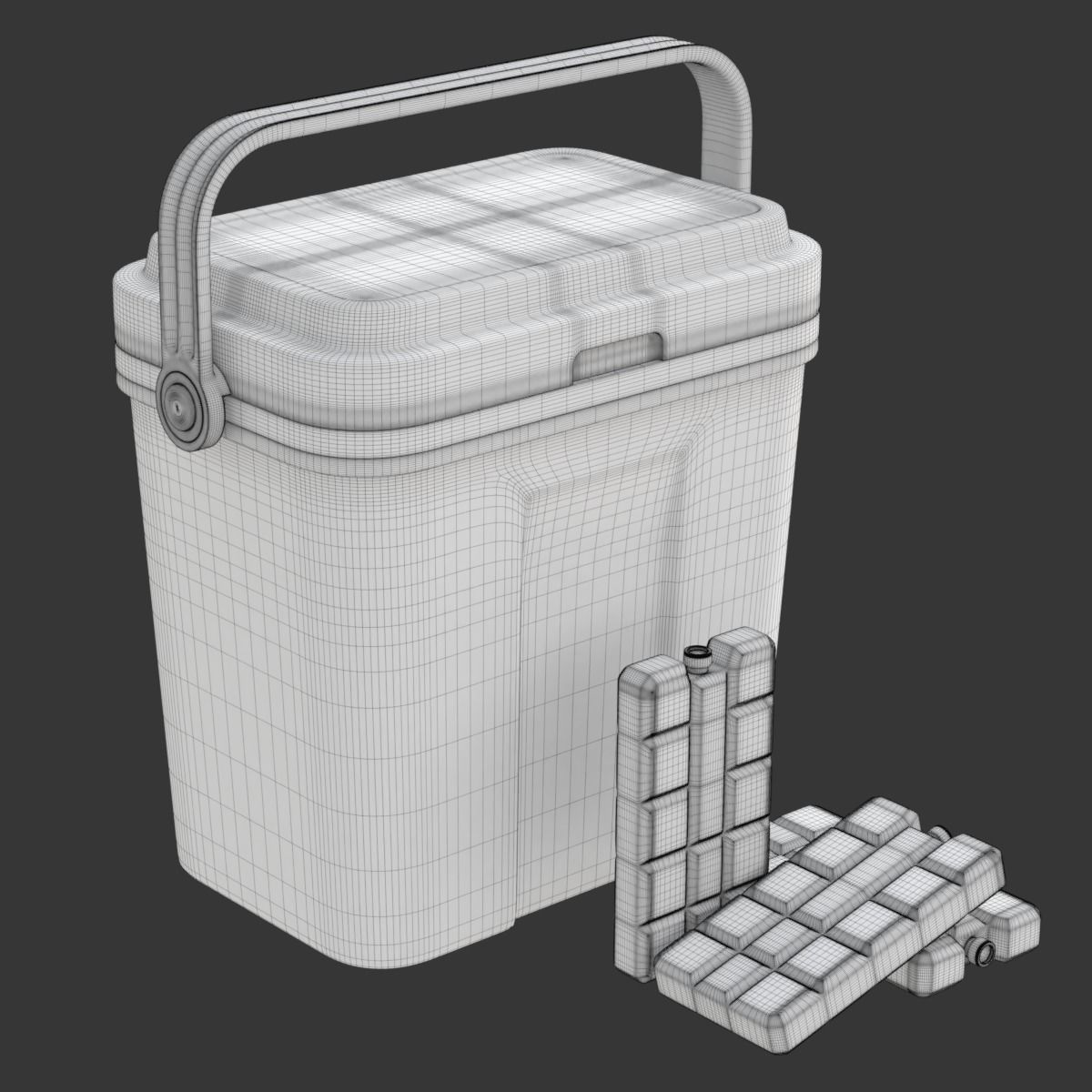 Cooler Box With Icepack 3D model | CGTrader