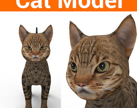 Cute pet 3D Models | CGTrader