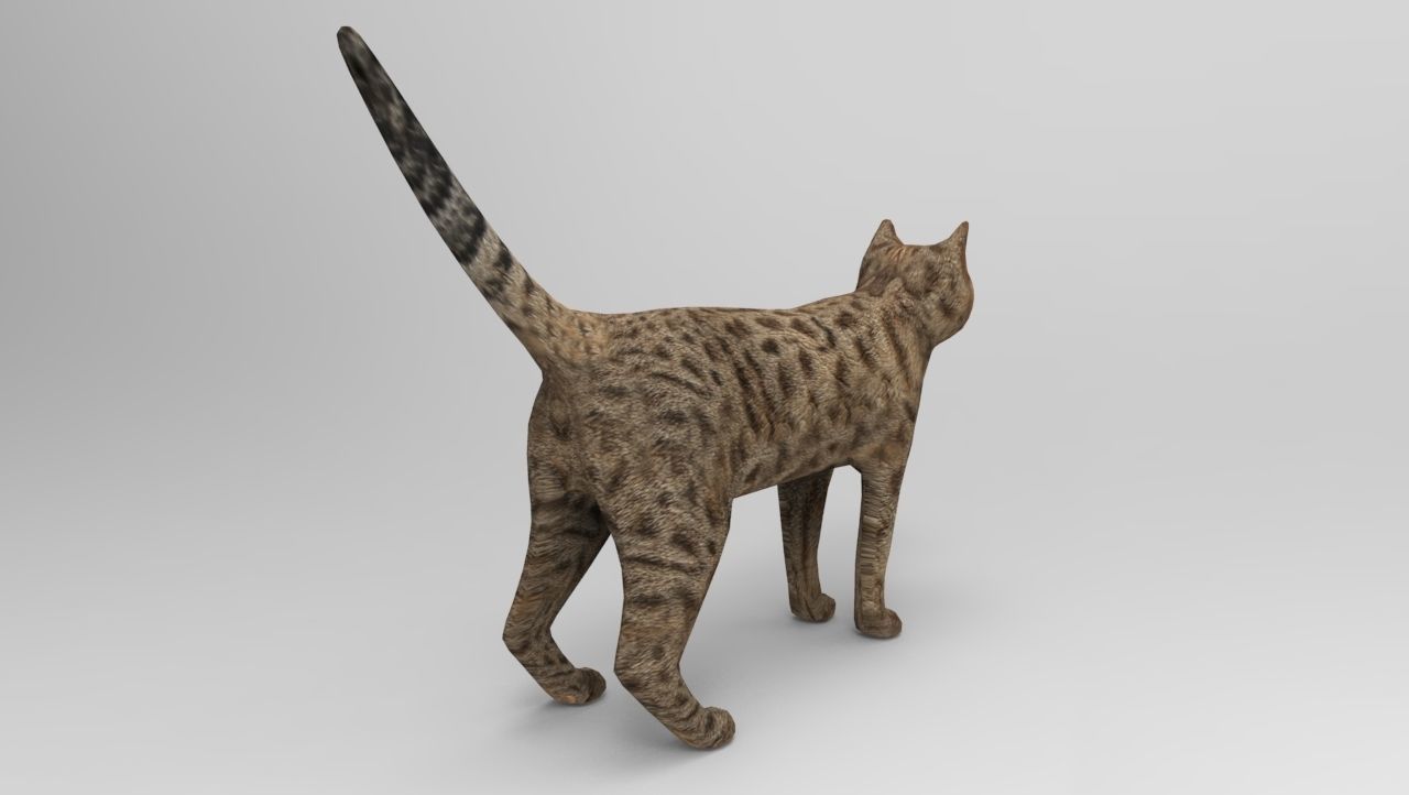 3D model 3D Cat game ready low poly model bengal VR / AR / low-poly ...