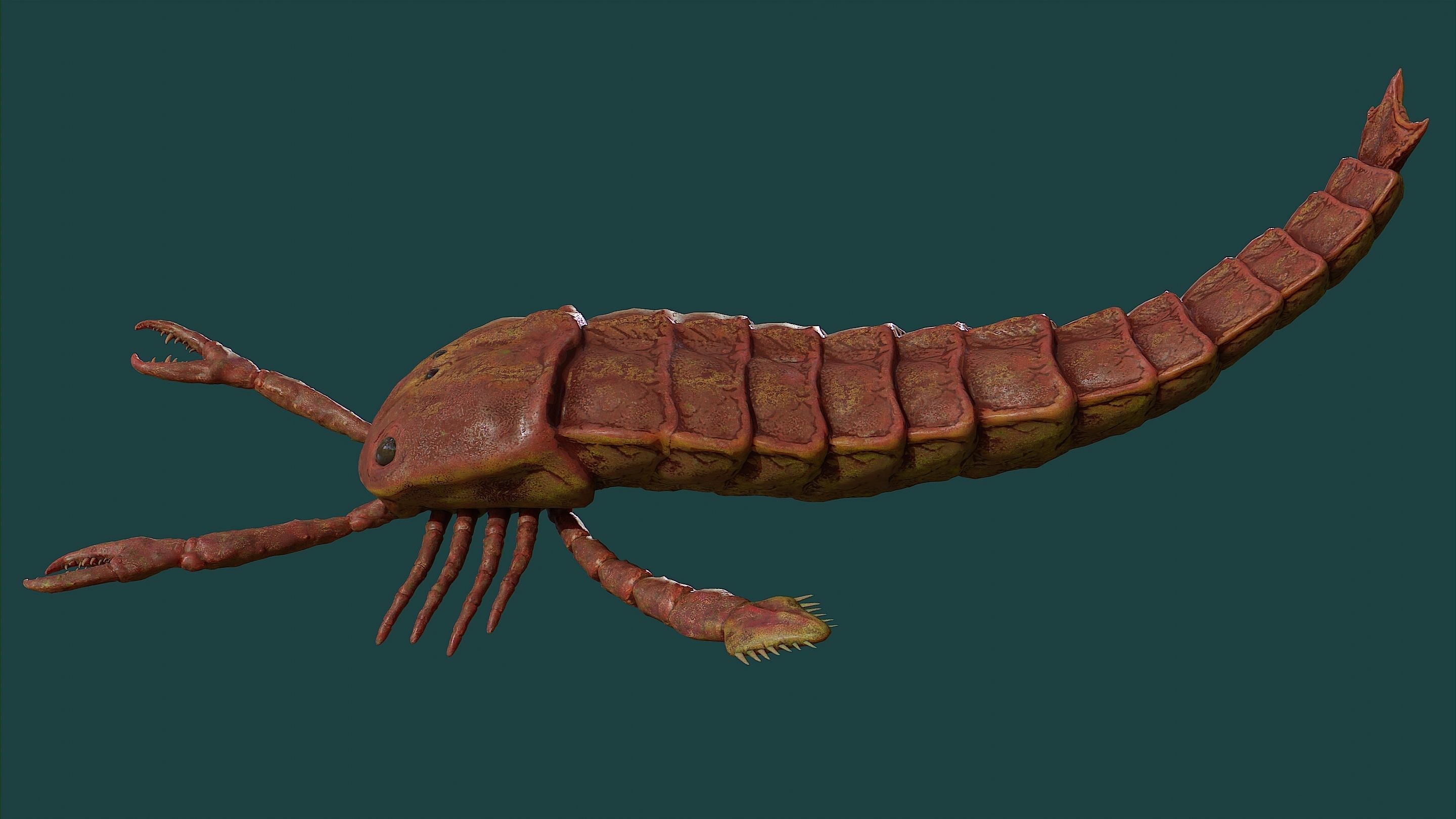 3D model Eurypterid Jaekelopterus rhenaniae ancient animal detailed VR ...
