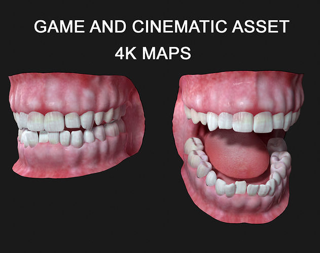 Teeth Asset 3D model | CGTrader