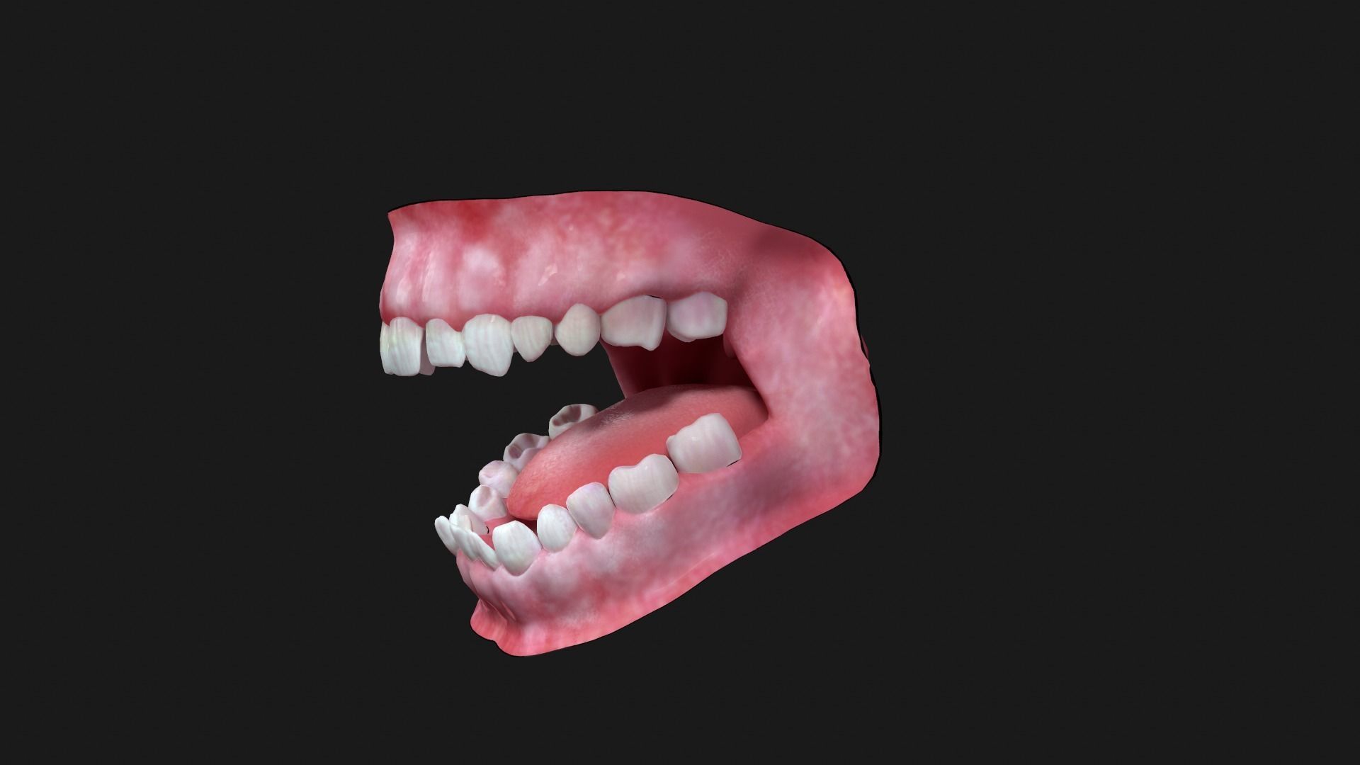Teeth Asset 3D model | CGTrader