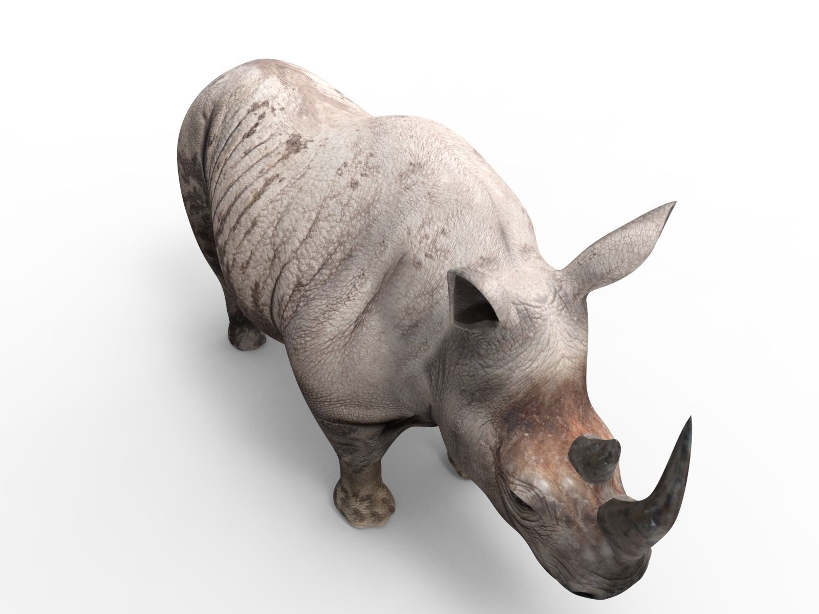 3D model Dirty Rhino 3D Models Rigged game ready VR / AR / low-poly ...