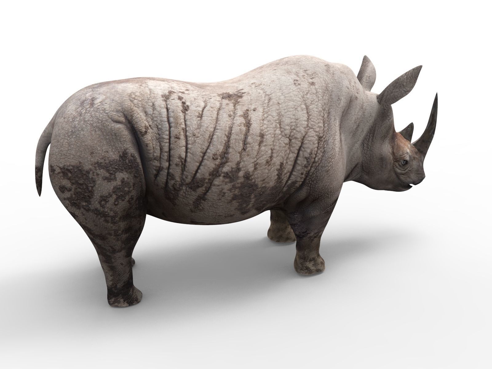 3D model Dirty Rhino 3D Models Rigged game ready VR / AR / low-poly ...
